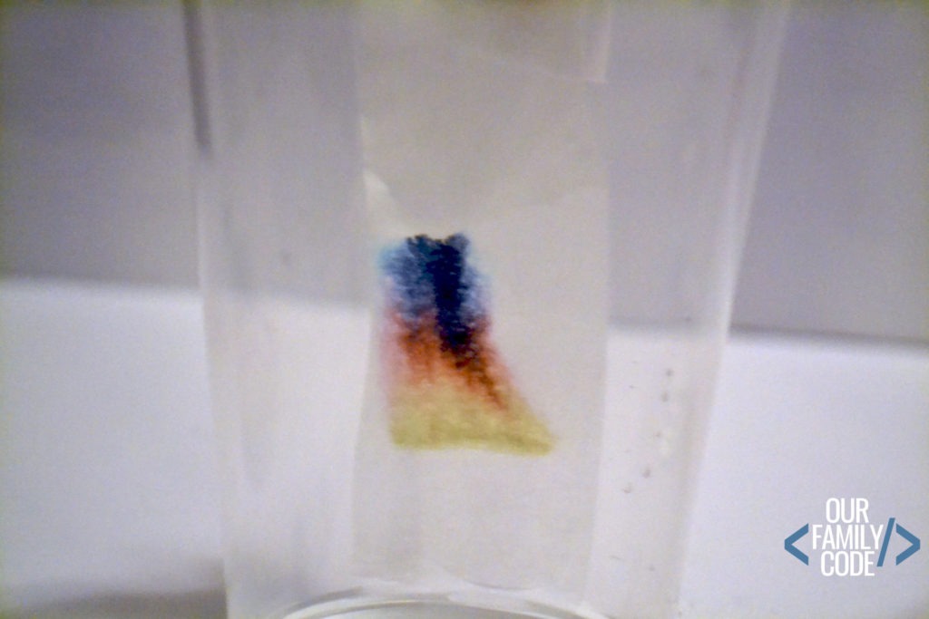 Chromatography Experiment: Forensic Science for Kids - Our Family Code