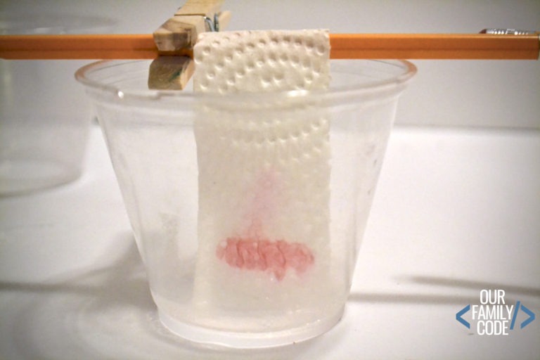 STEAM Forensic Science: The Case of the Red Lipstick - Our Family Code