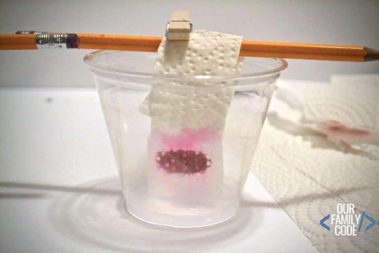 STEAM Forensic Science: The Case of the Red Lipstick - Our Family Code