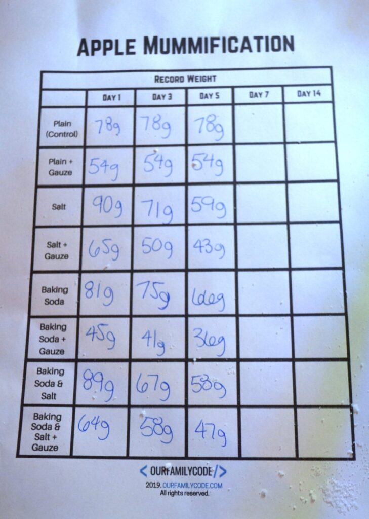 Learn the Science of Mummification with Apple Mummies - Our Family Code