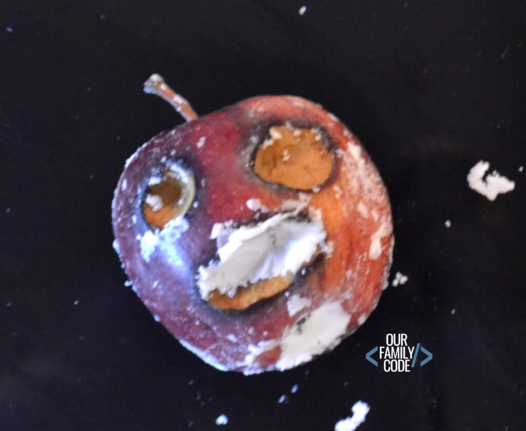 Learn the Science of Mummification with Apple Mummies - Our Family Code