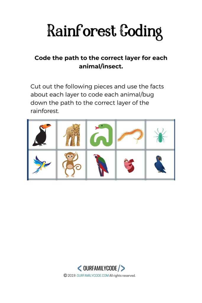 Layers of the Rainforest Unplugged Coding Activity - Our Family Code