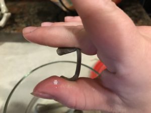 Rubber Chicken Bones Science Experiment for Kids - Our Family Code